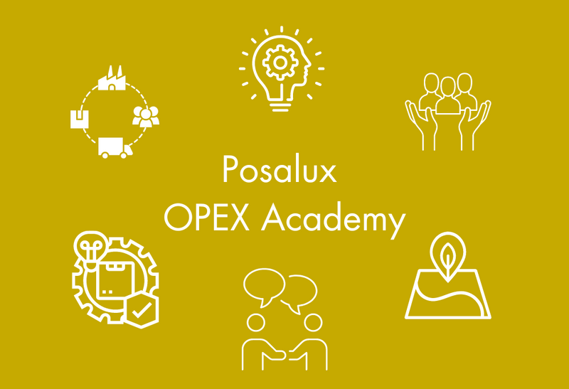 Posalux: Pioneering Micro Machining | About Our Journey